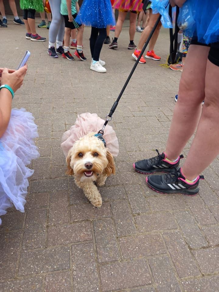 Eastleigh parkrun event number 597 – 22 July 2023 – The TuTu Run part 1 ...