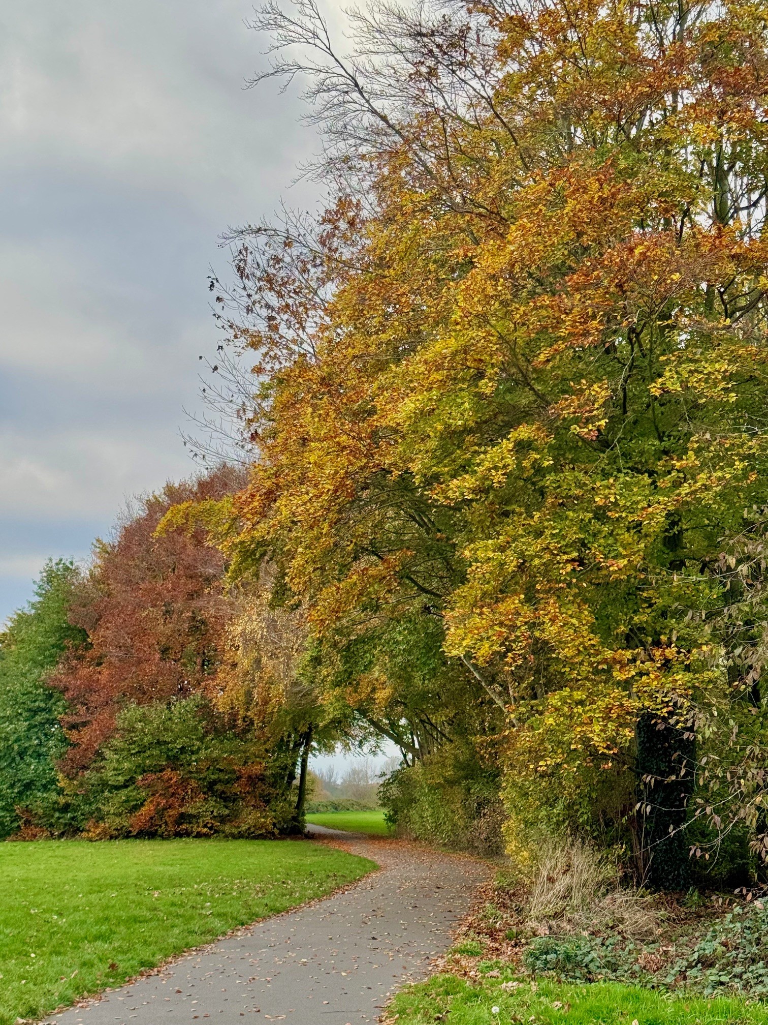 news | Colwick parkrun