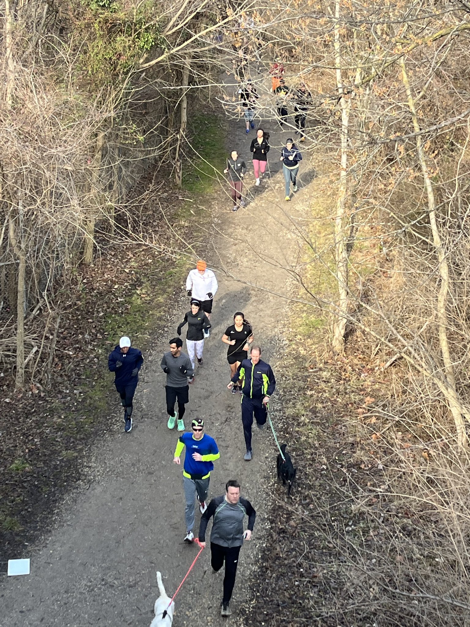 RI Run Report – Event #309 – February 24, 2024 | Roosevelt Island DC ...