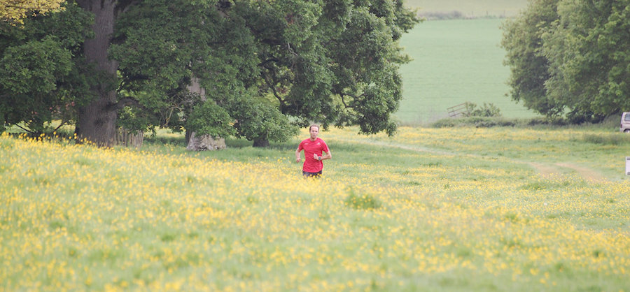 parkrun profile: Killerton | parkrun UK Blog