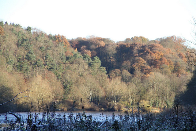 parkrun Profile: Prudhoe Riverside | parkrun UK Blog