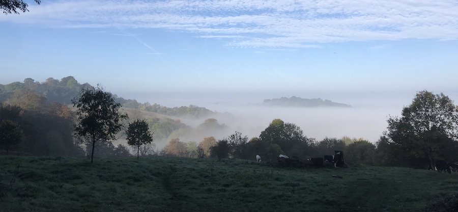 parkrun profile: Bath Skyline | parkrun UK Blog