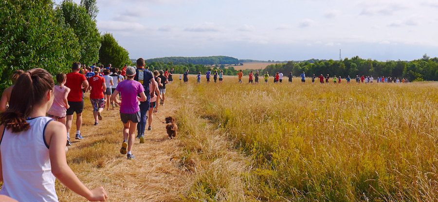 The 2019 parkrun year in review | parkrun UK Blog