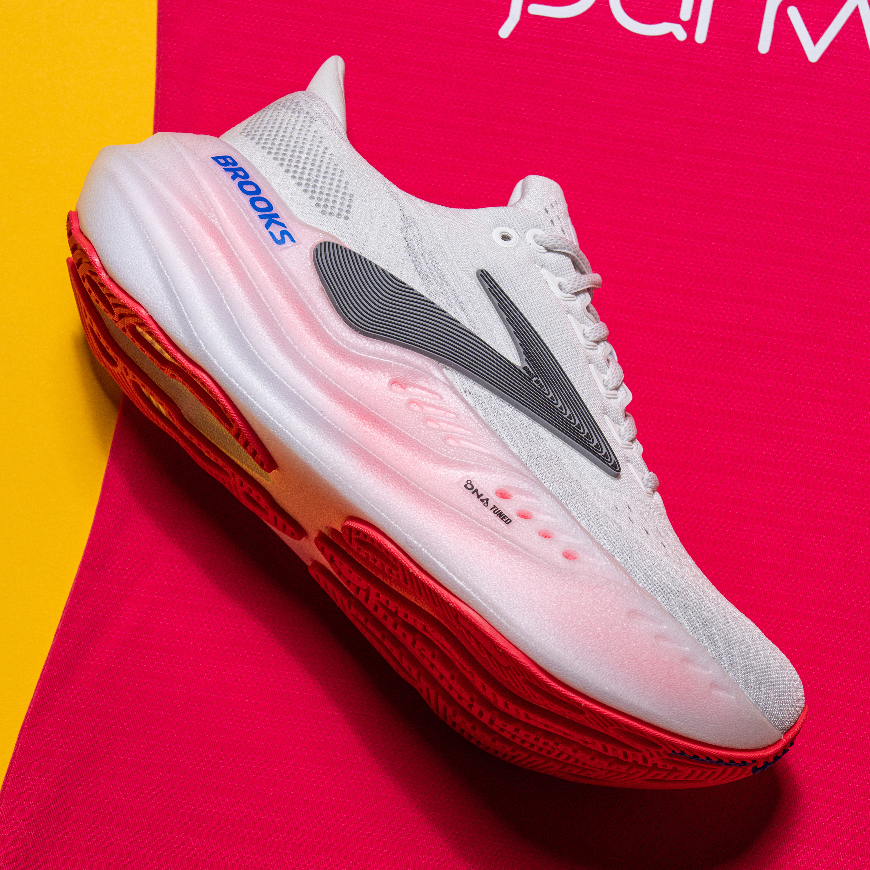 A SportsShoes guide to parkwalk | parkrun UK Blog