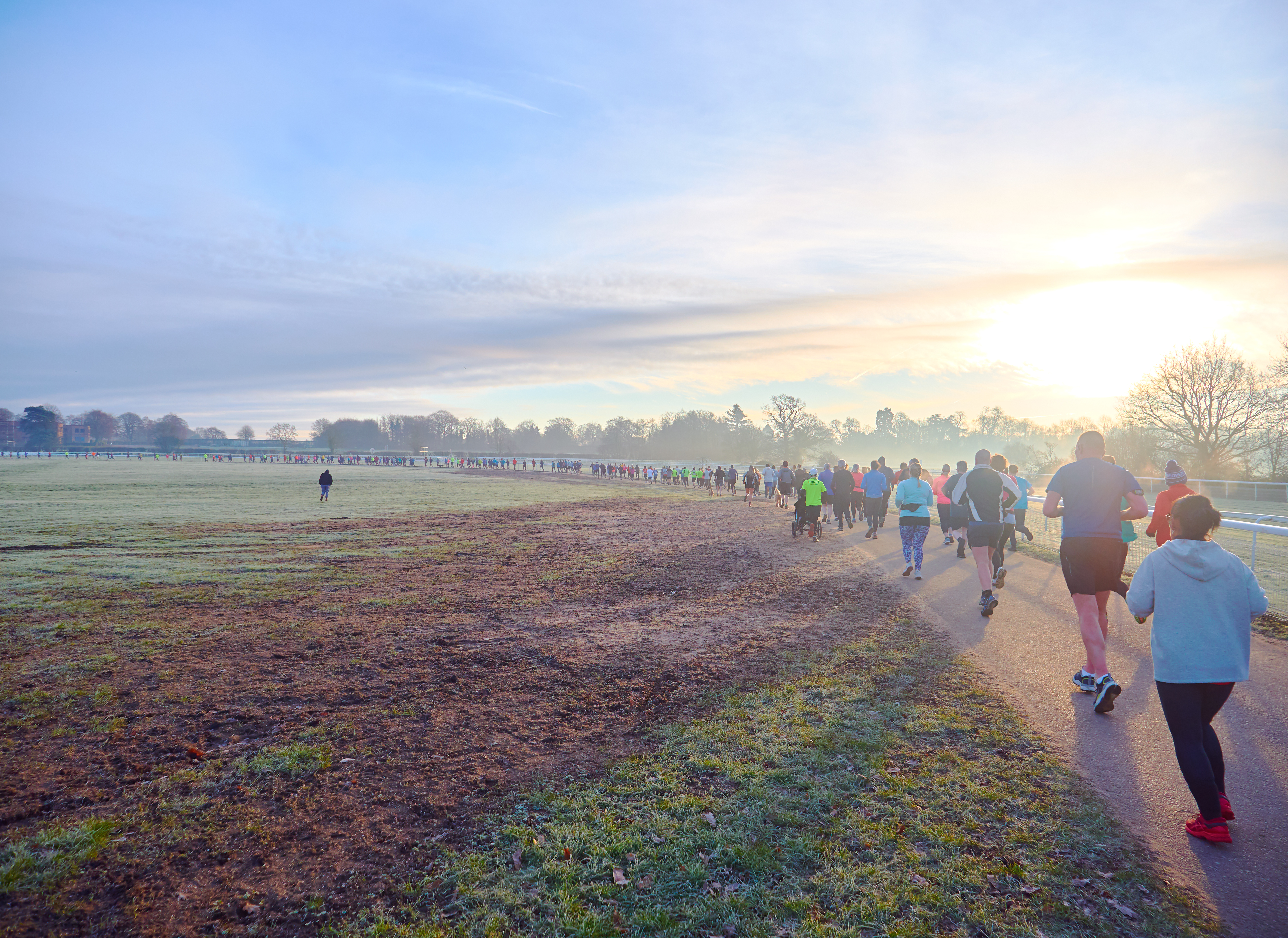 Mag-neigh-ficent parkruns with…horses | parkrun UK Blog