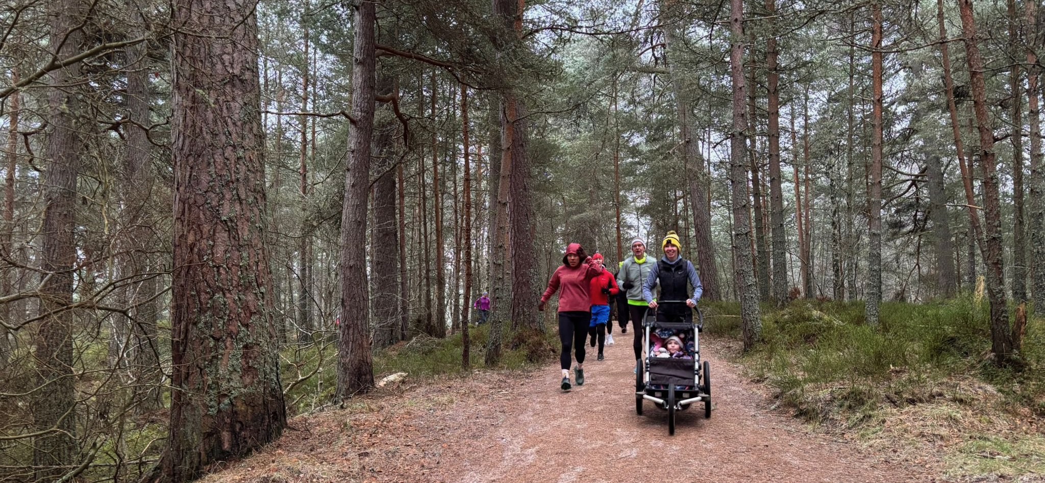 Tree-mendous forest parkruns to try | parkrun UK Blog