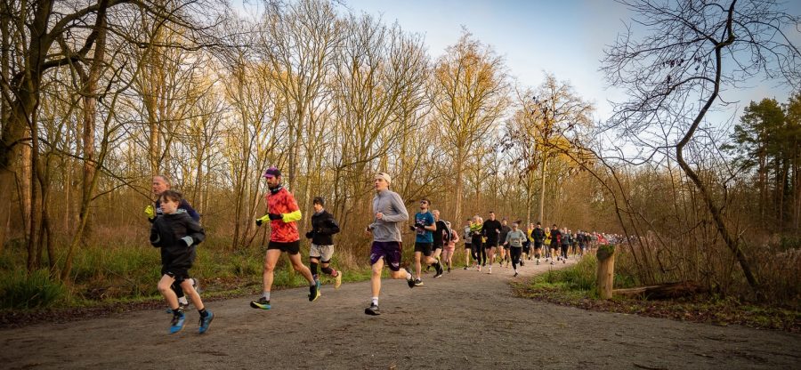 Tree-mendous forest parkruns to try | parkrun UK Blog