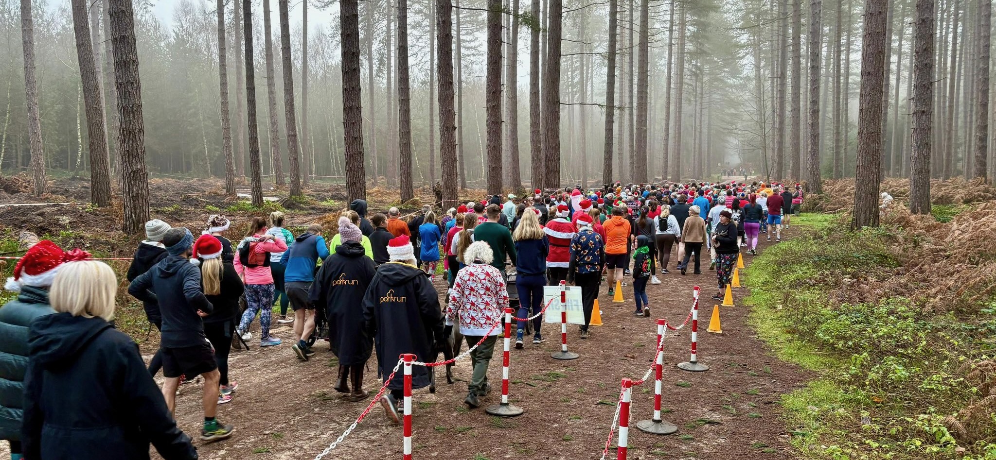Tree-mendous forest parkruns to try | parkrun UK Blog