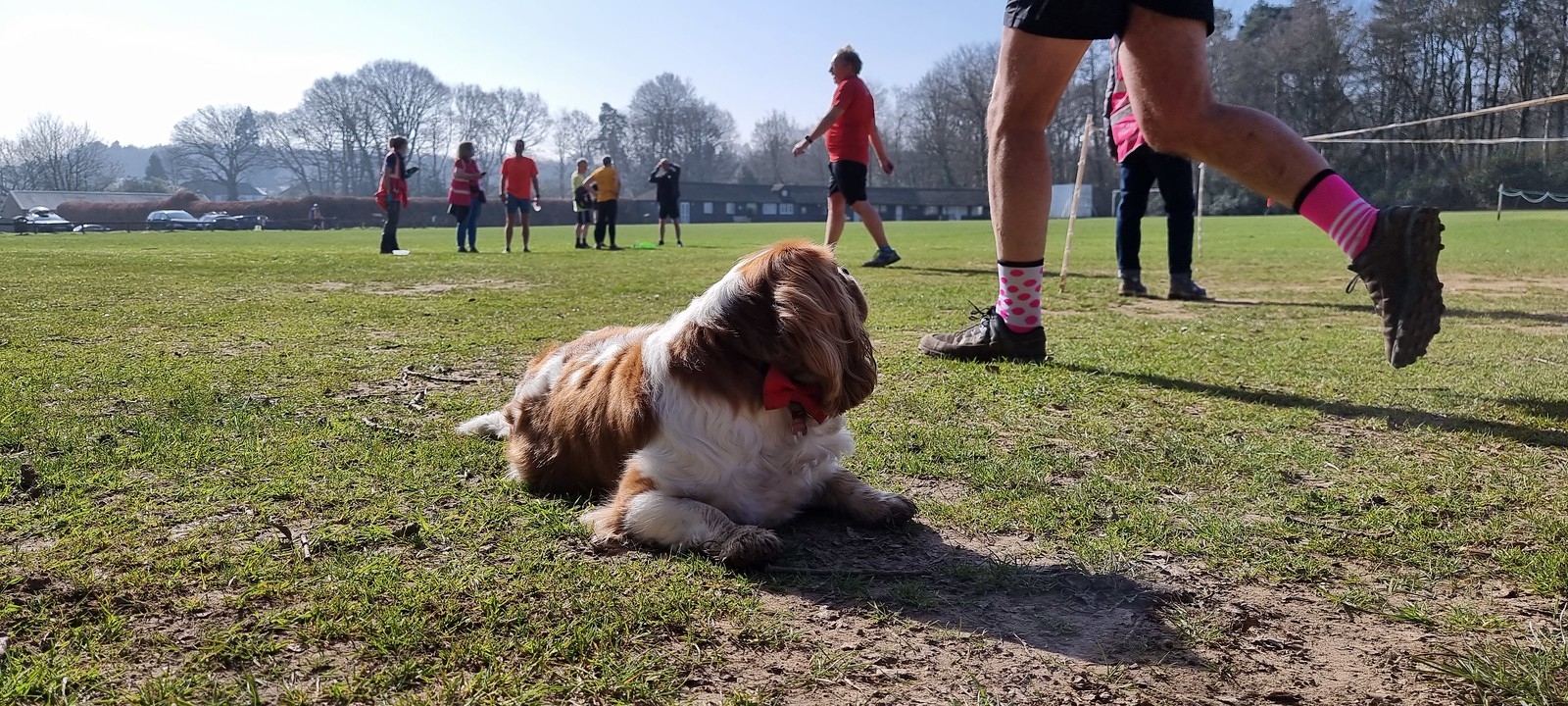 Event #216 Saturday March 26th 2022 | Homewood parkrun