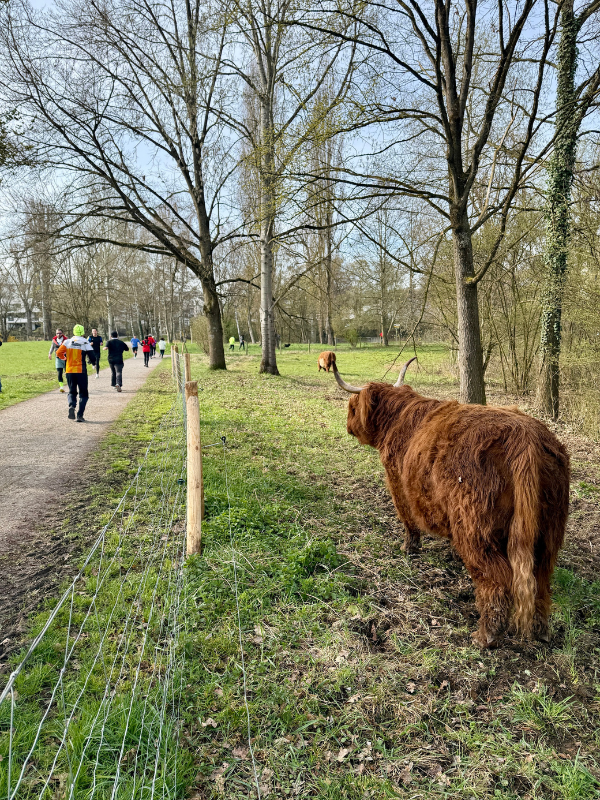 Wir begrüßen den neuen Talaue parkrun in Waiblingen | parkrun DE Blog