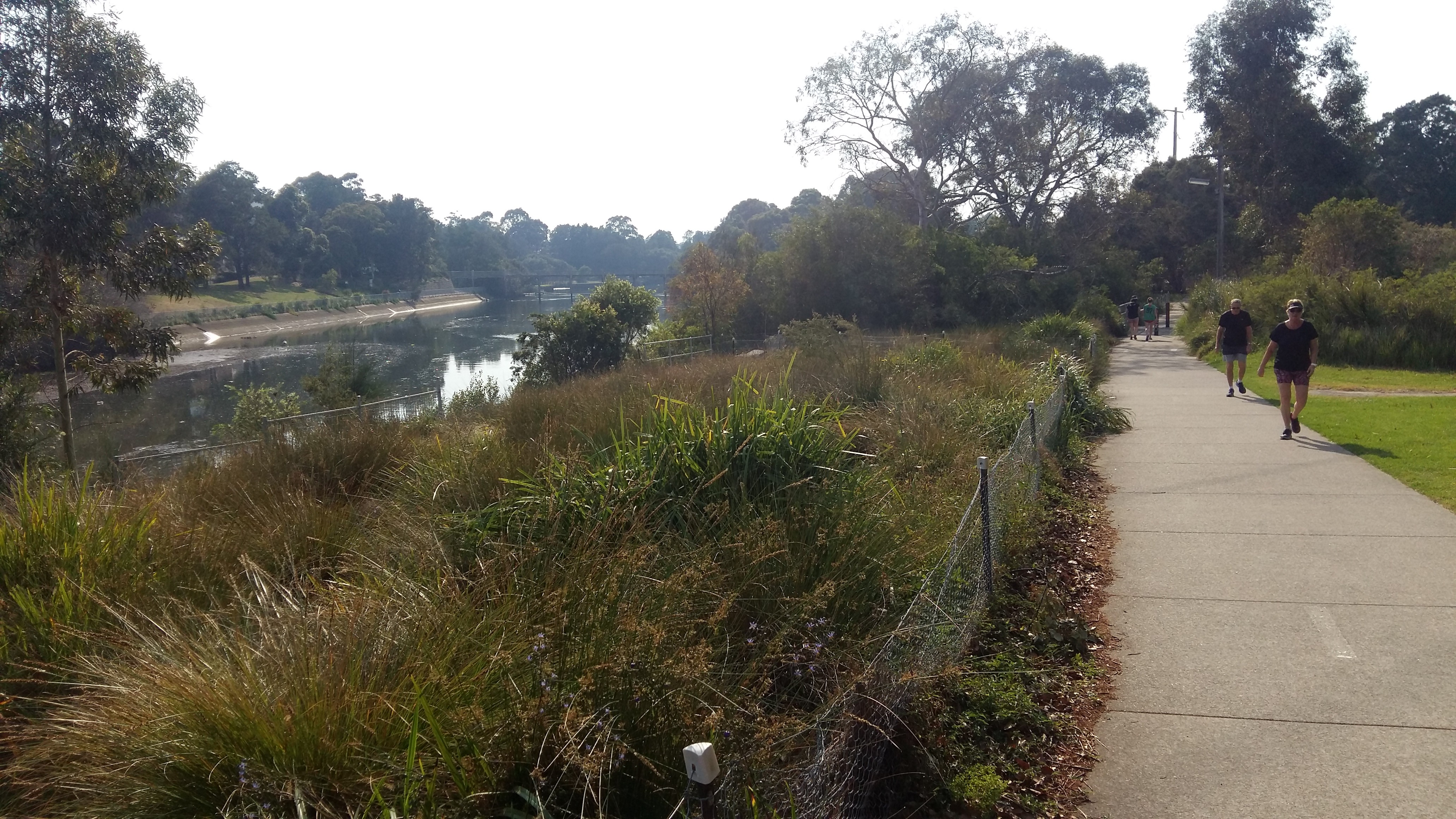 parkrun Australia: Cooks River parkrun | parkrun PL Blog