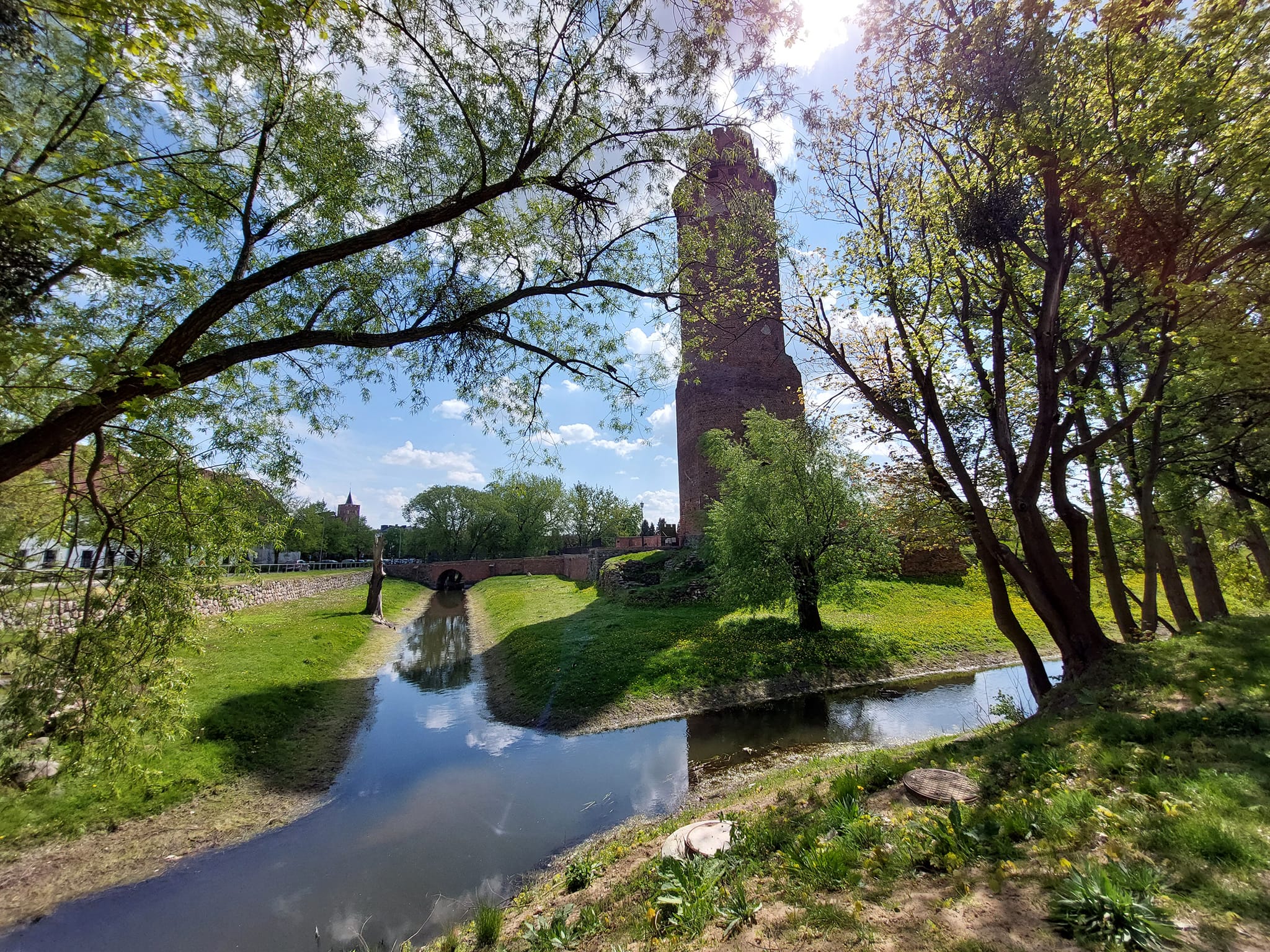 Debiut taki, że komar nie siada | parkrun PL Blog