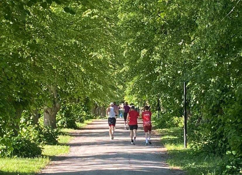 Welcome to Judarskogen parkrun in Stockholm! | parkrun SE Blog