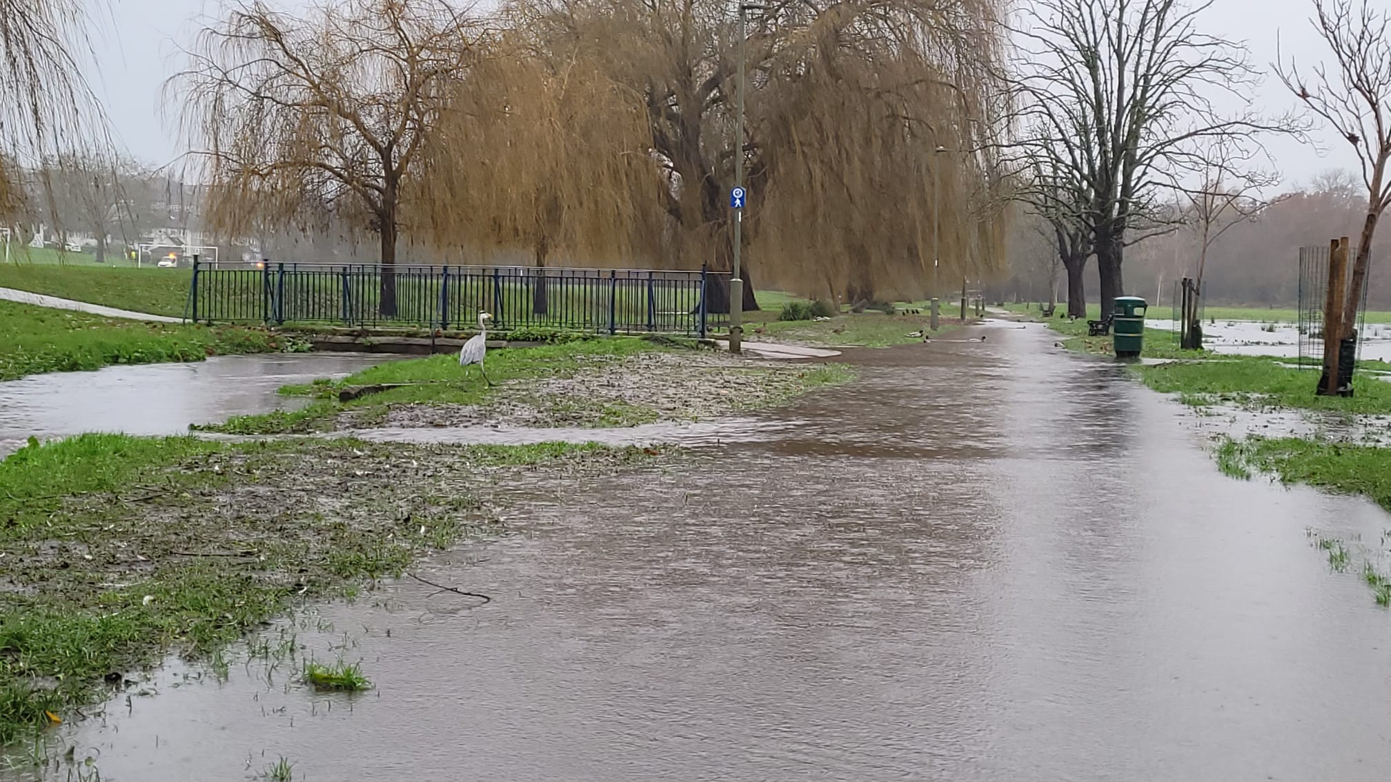 Why parkruns get cancelled (and why that’s okay) | parkrun SE Blog