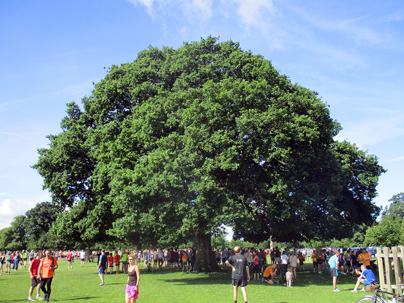 A British Adventure | parkrun AU Blog