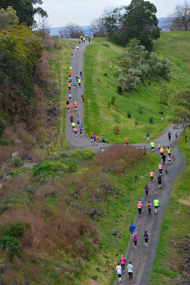 parkrun profile: Wilson Botanic | parkrun AU Blog