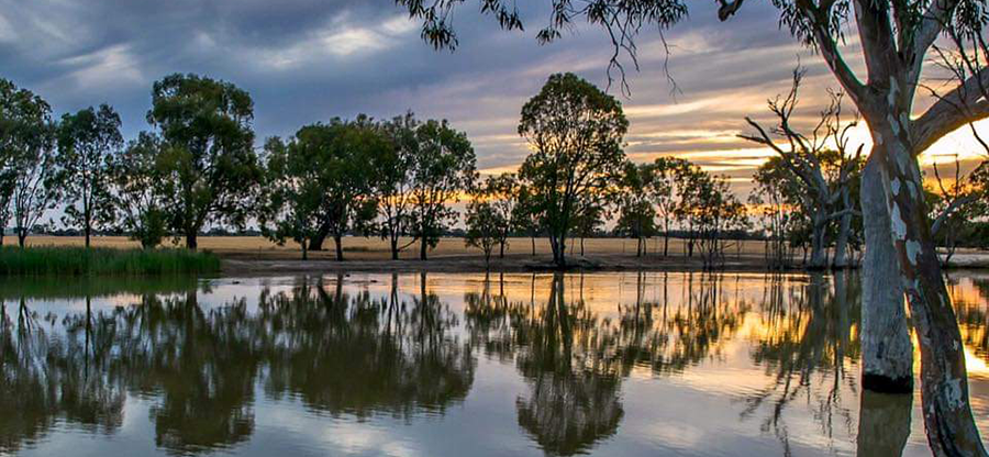 parkrun profile: Wimmera River parkrun Horsham | parkrun AU Blog