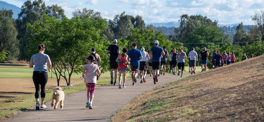 The 2019 parkrun year in review | parkrun AU Blog