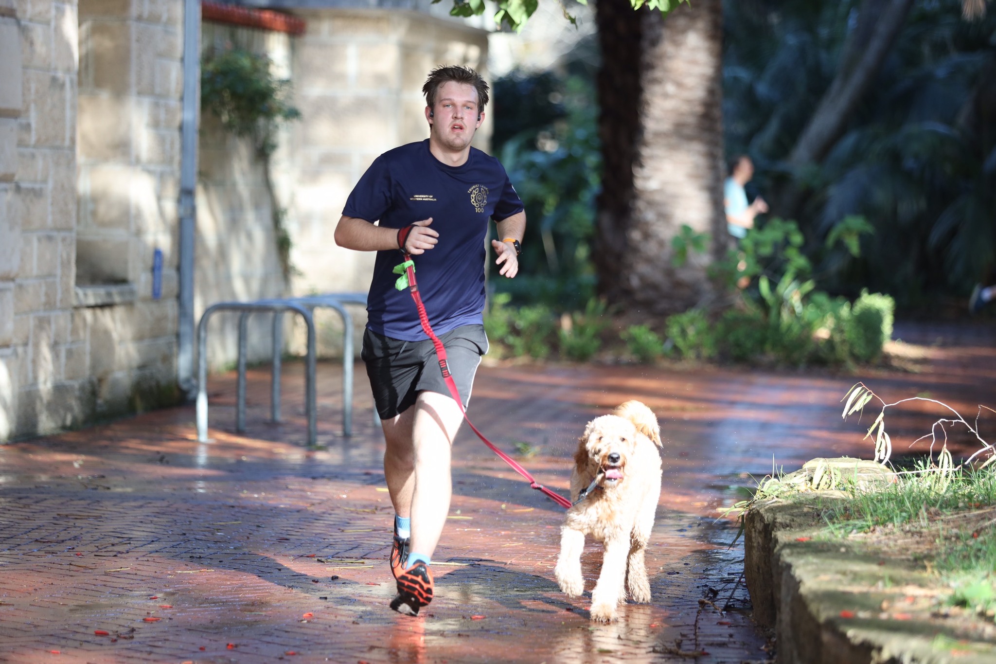 Cameron Storey: 500 parkruns by 20 | parkrun AU Blog
