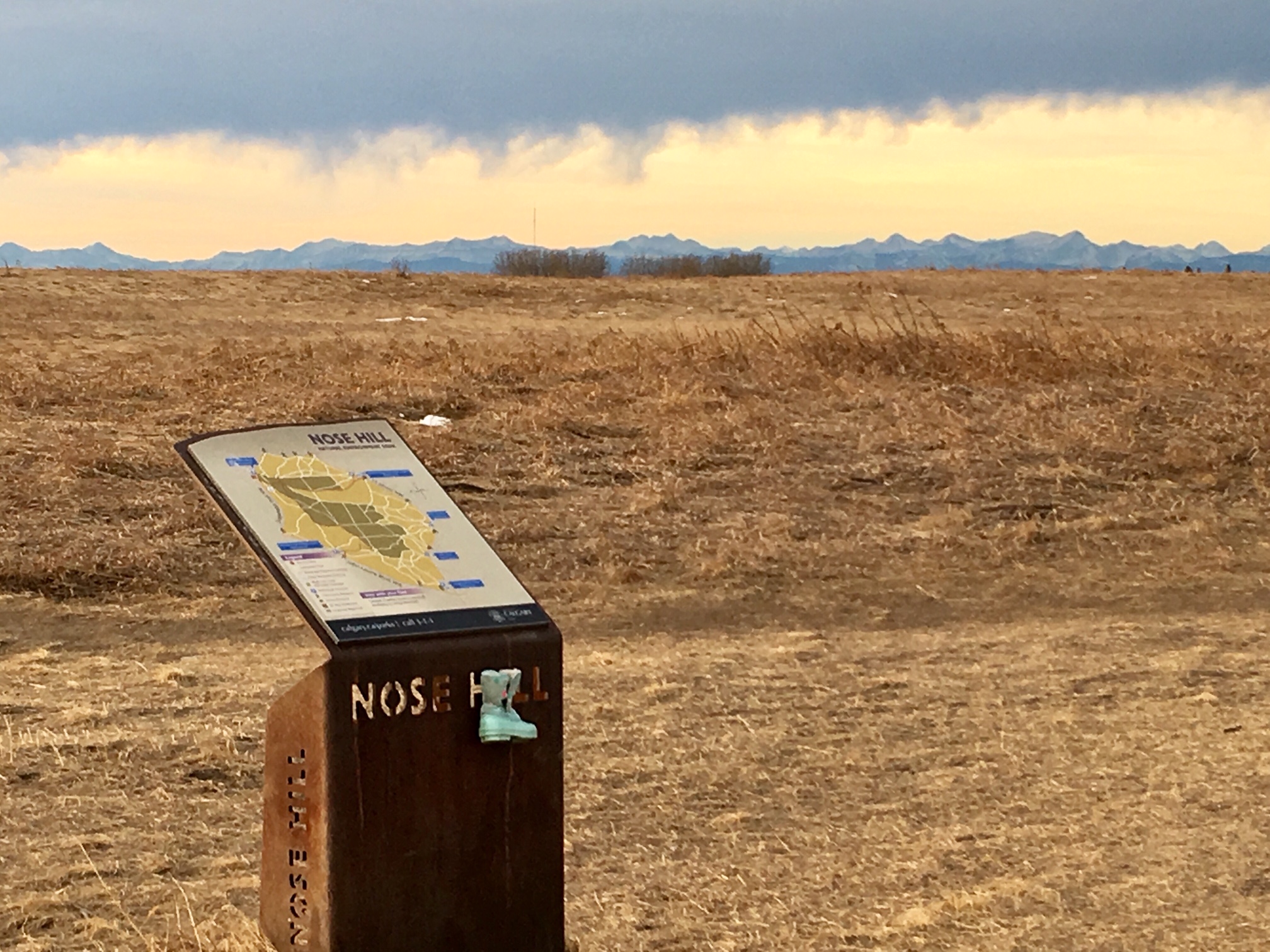 We needed more Chinooks this winter! | parkrun CA Blog