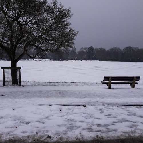 Why parkruns get cancelled (and why that’s okay) | parkrun CA Blog