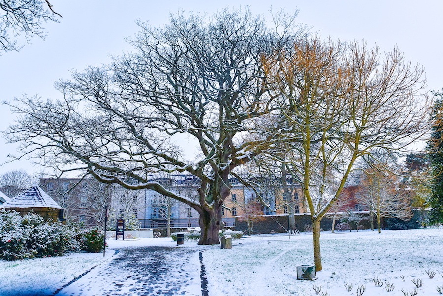 parkrun Profile: Tralee | parkrun IE Blog