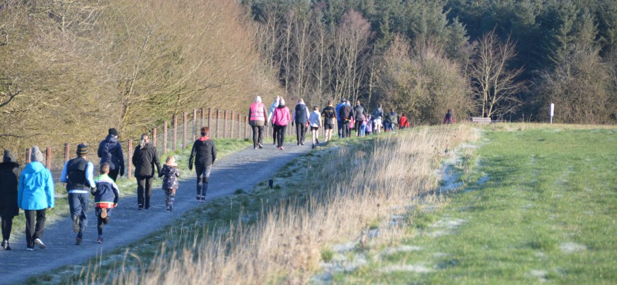parkrun Profile: Deerpark Carlanstown | parkrun IE Blog