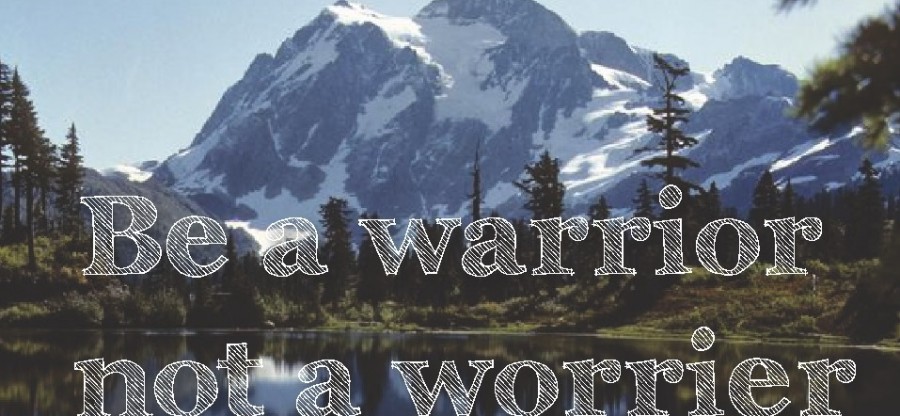 Feedback from the field | parkrun NZ Blog