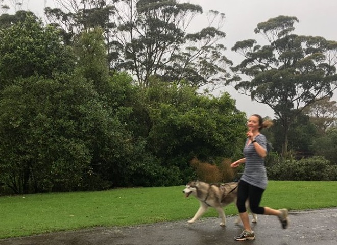 Benefits of dogs at parkrun | parkrun NZ Blog