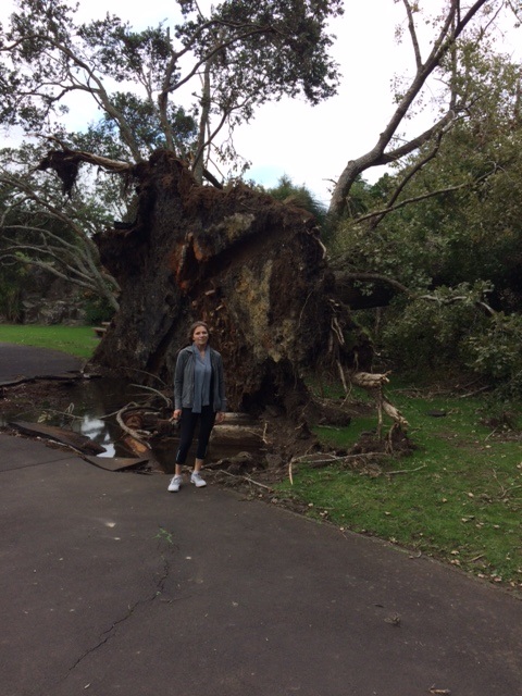 parkrun Diary | parkrun NZ Blog