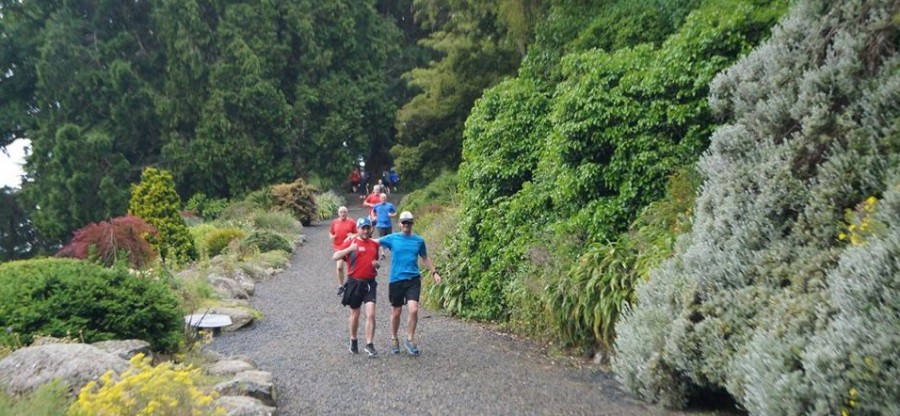 Event Profile - Dunedin | parkrun NZ Blog