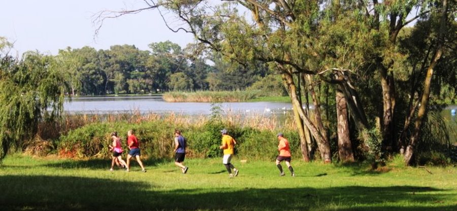 parkrun profile: Homestead Lake | parkrun ZA Blog