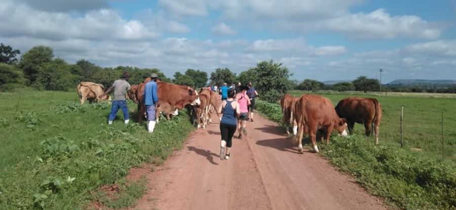 parkrun profile: Hazeldean Farm | parkrun ZA Blog