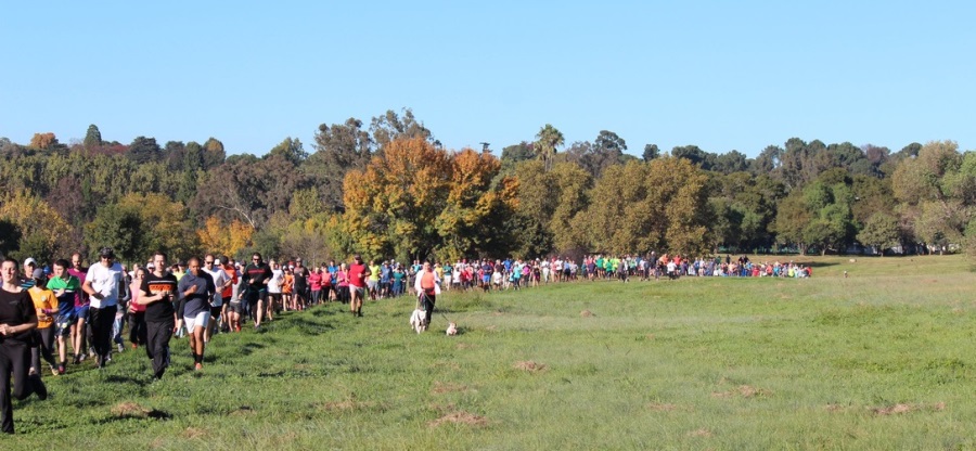 parkrun SA turns 9 | parkrun ZA Blog