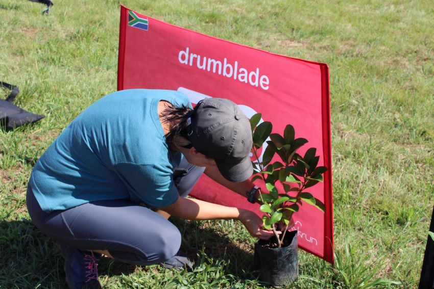 The milestone tree avenue of Dumblade parkrun | parkrun ZA Blog