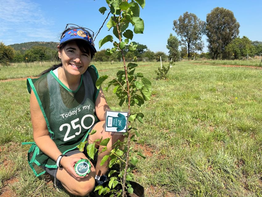 The milestone tree avenue of Dumblade parkrun | parkrun ZA Blog