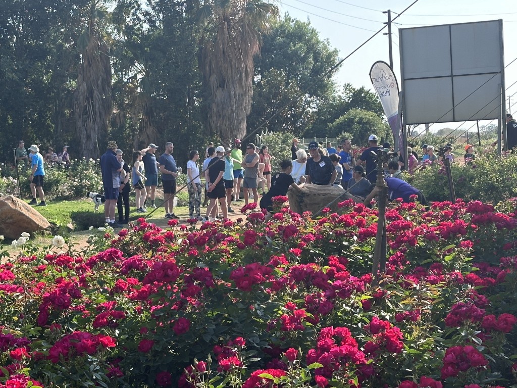 Running by letters - An alphabetical guide to Gauteng’s parkruns ...