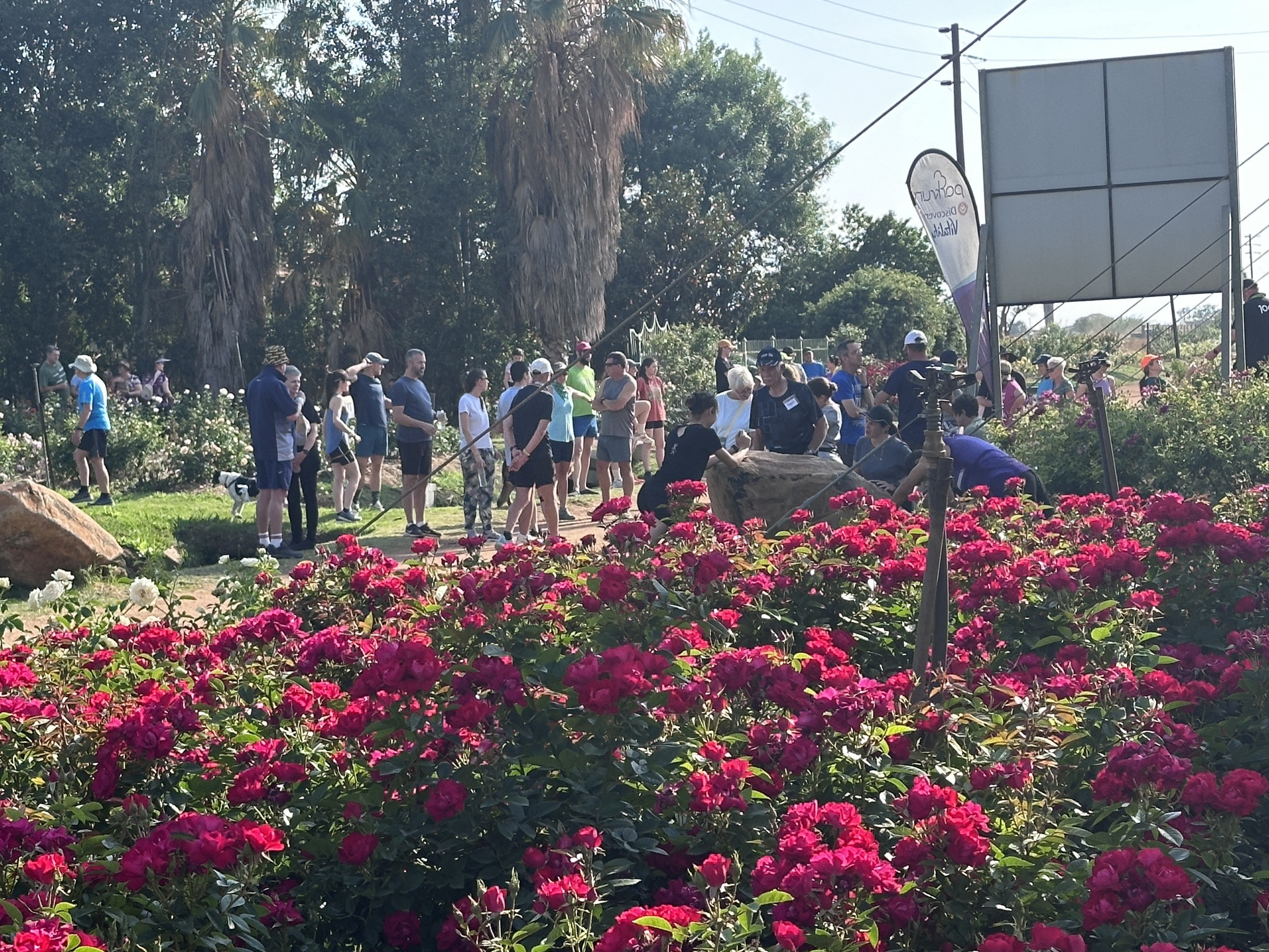 Running by letters - An alphabetical guide to Gauteng’s parkruns ...