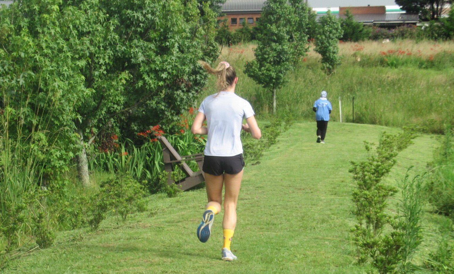 Discover the Midlands Meander parkruns: A perfect blend of fitness and ...