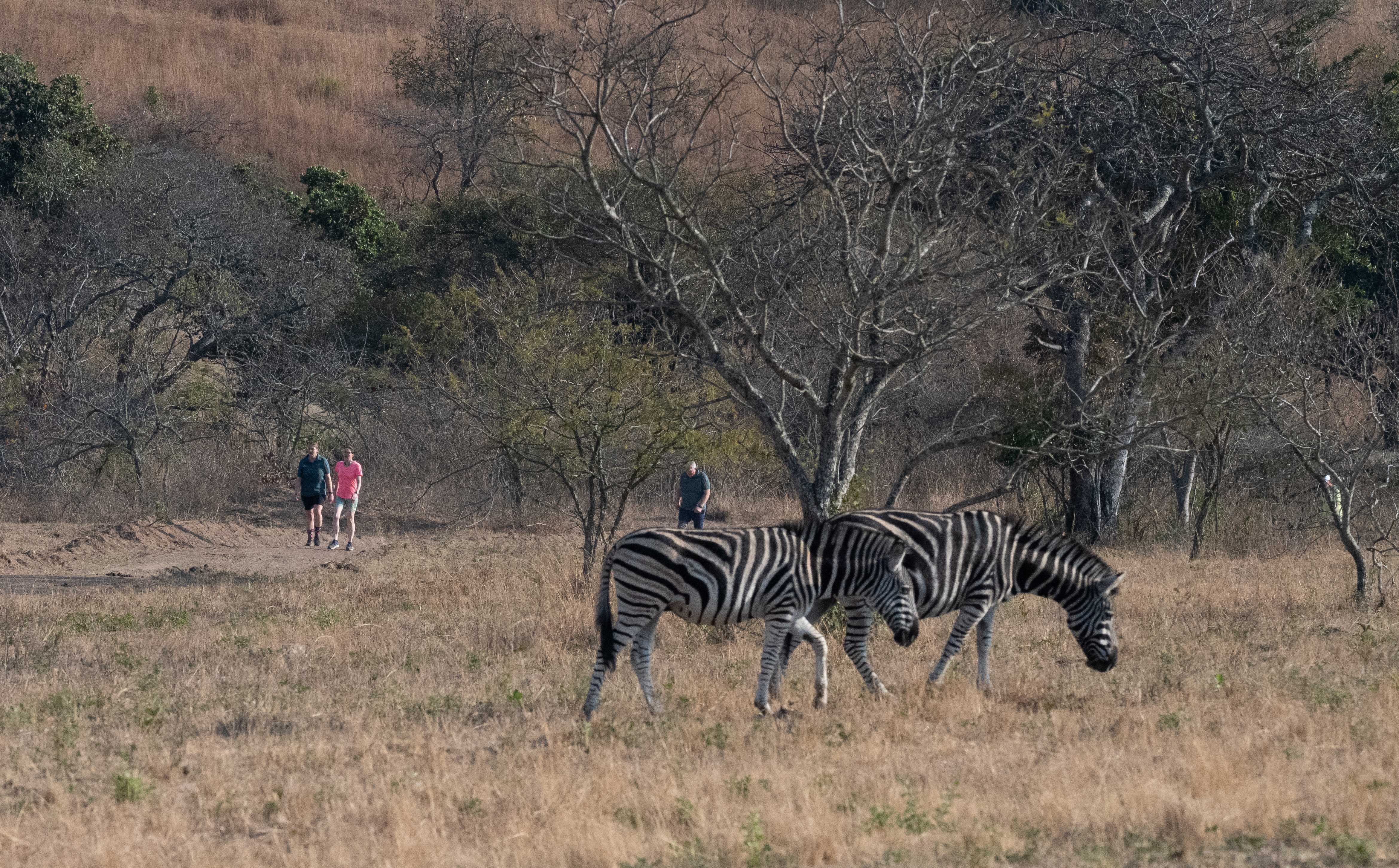 Run wild this winter: 5 parkruns where the wildlife might join you ...