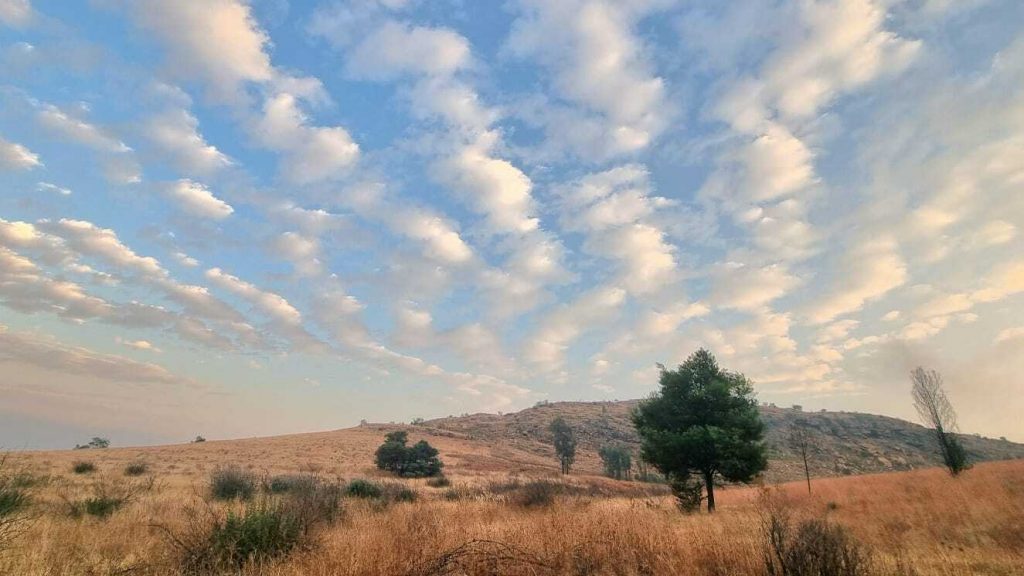 parkrun in full colour: Celebrating our rainbow nation | parkrun ZA Blog