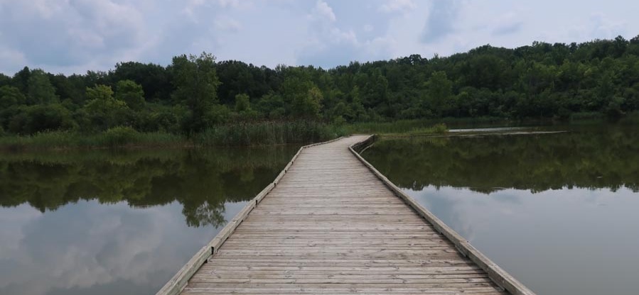 Ann Arbor joins the parkrun family | parkrun US Blog