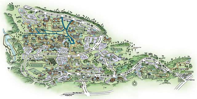 Blazing a Trail | parkrun US Blog