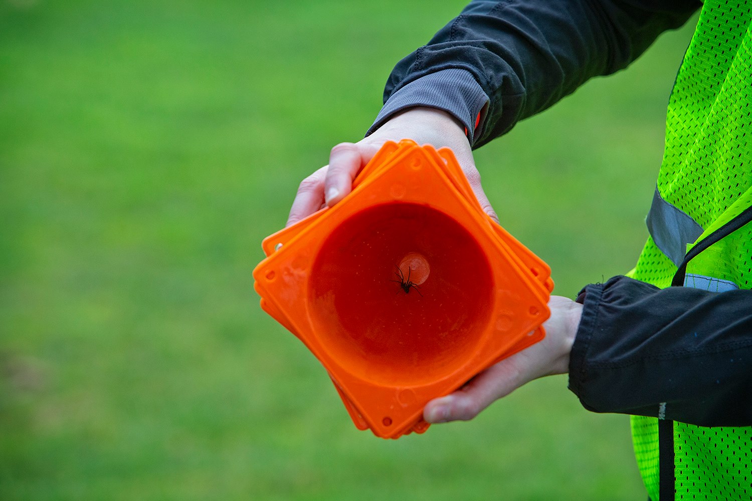 The parkrun kit | parkrun US Blog