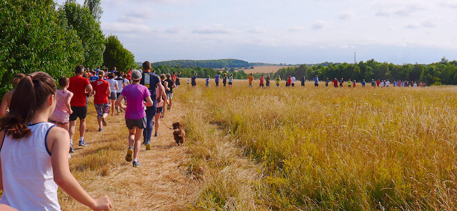 The 2019 parkrun year in review | parkrun US Blog