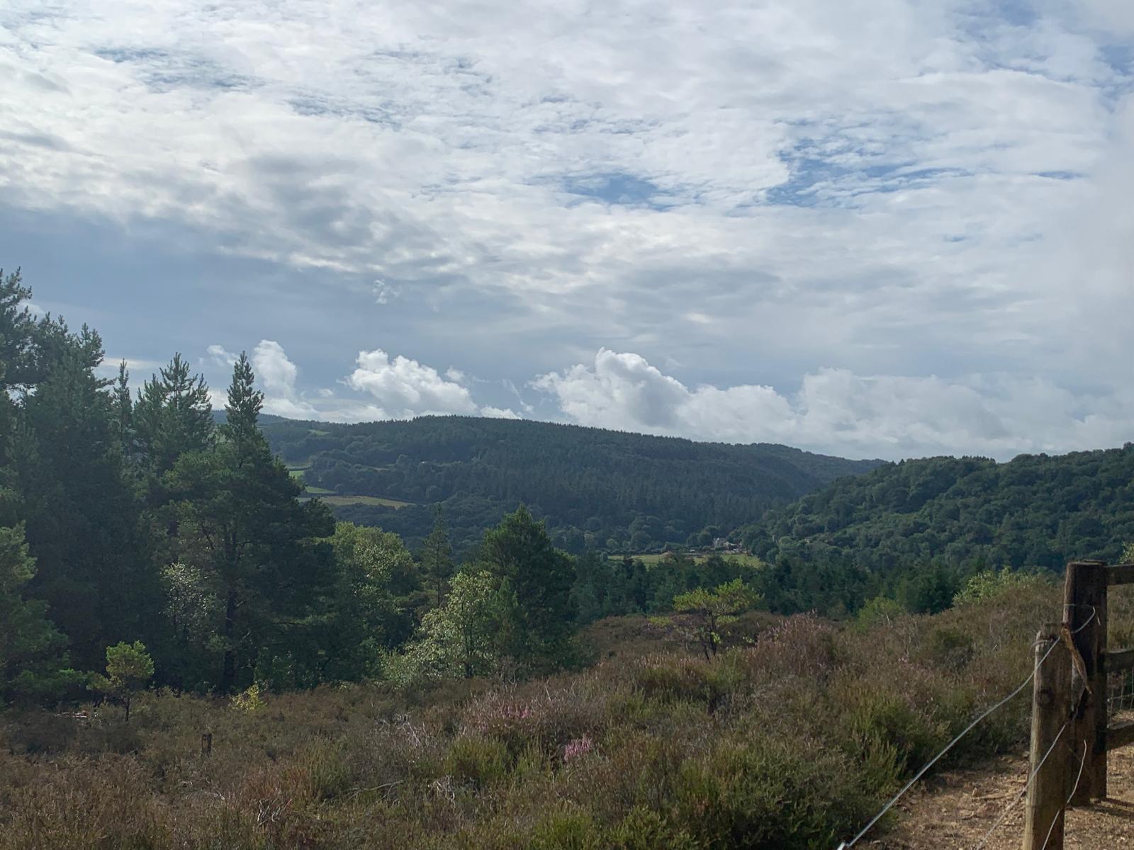 news | Tamar Trails parkrun