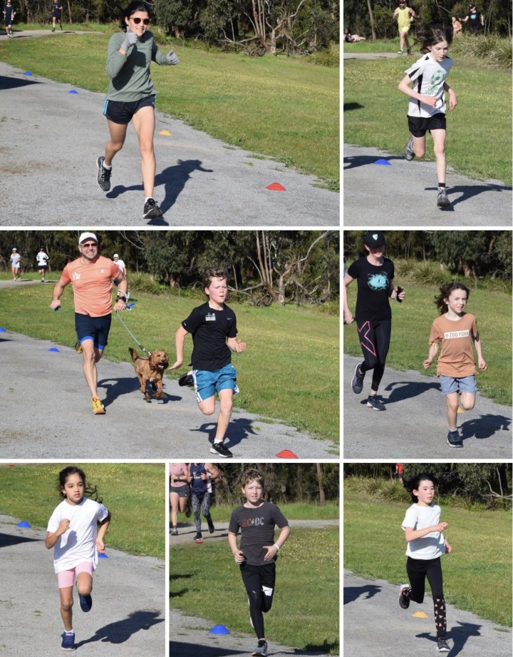 Karkarook parkwalk – Event 239 – 1st October 2022 | Karkarook parkrun