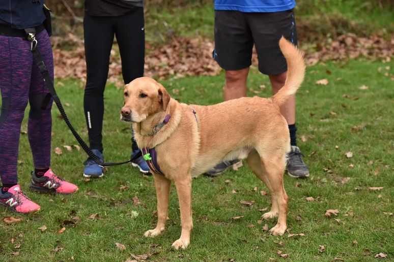 Meet Roding Valley parkrun #2 – Marley | Roding Valley parkrun