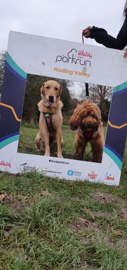 Meet Roding Valley parkrun #2 – Marley | Roding Valley parkrun