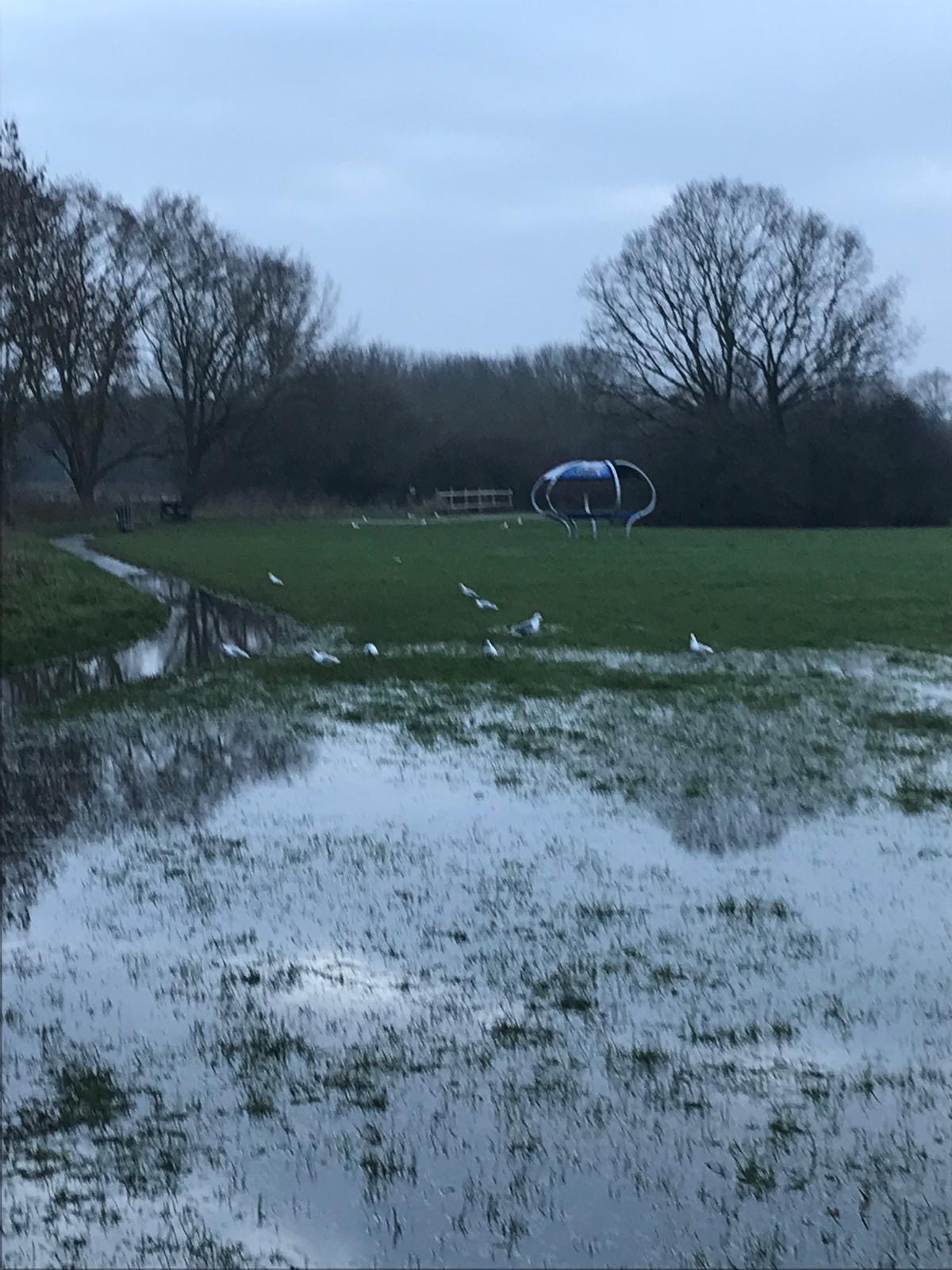 news | Roding Valley parkrun